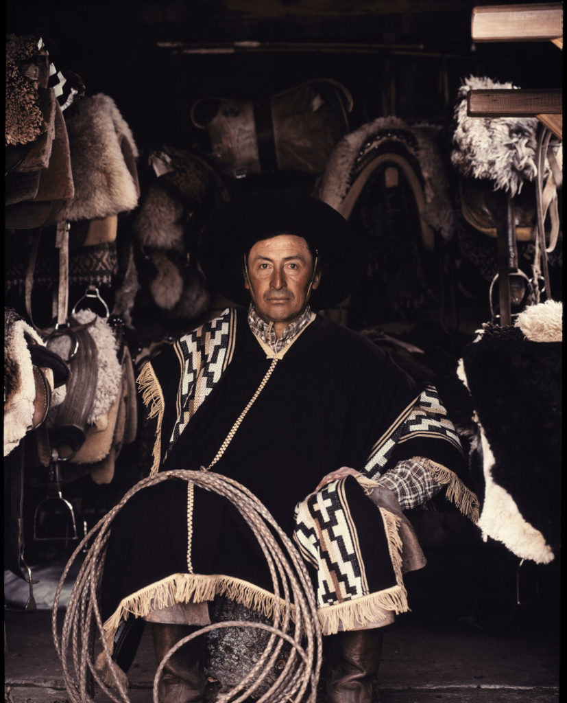 Have a Last Good Look At Them Before They Pass Away - Emlii