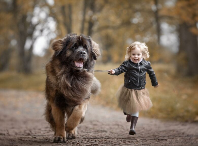 Relationship Between Dogs and Kids is Unexplainable But These 22 ...
