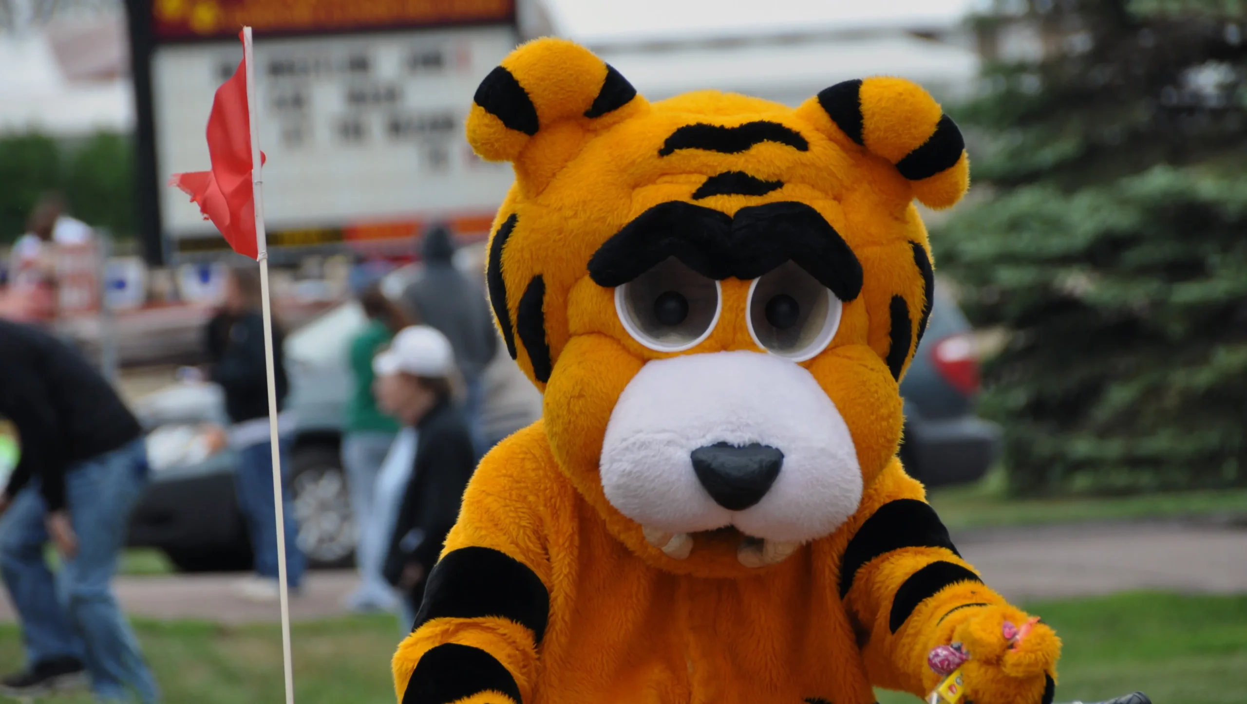 The Popularity of Tiger Mascot Costumes at Educational Institutions - Emlii