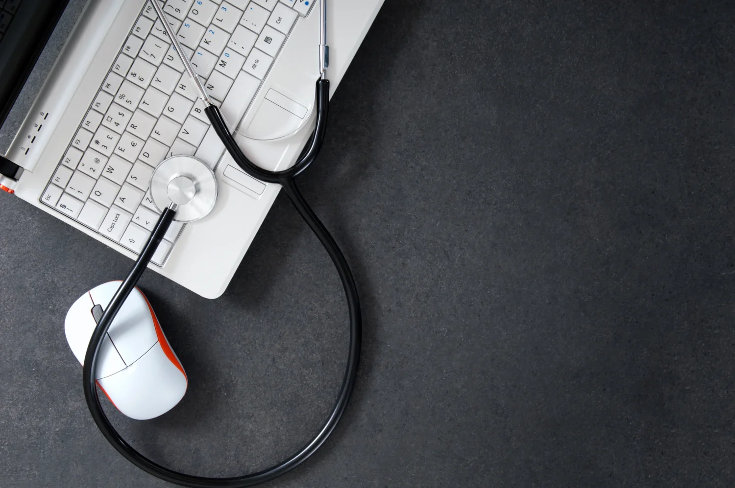 Navigating The NPI Registry: Common Questions And Answers - Emlii