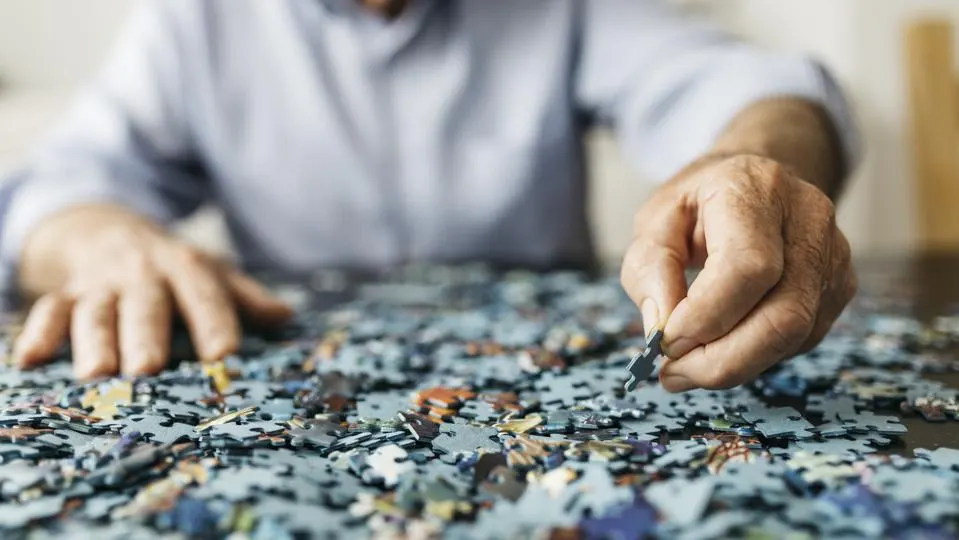 Piece Together a Smarter Brain: The Neuroscience Behind Why Solving ...